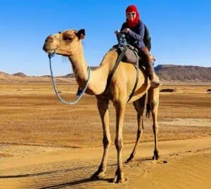 20 Best Things to do in Fes in 2025 + Amazing Local Tips